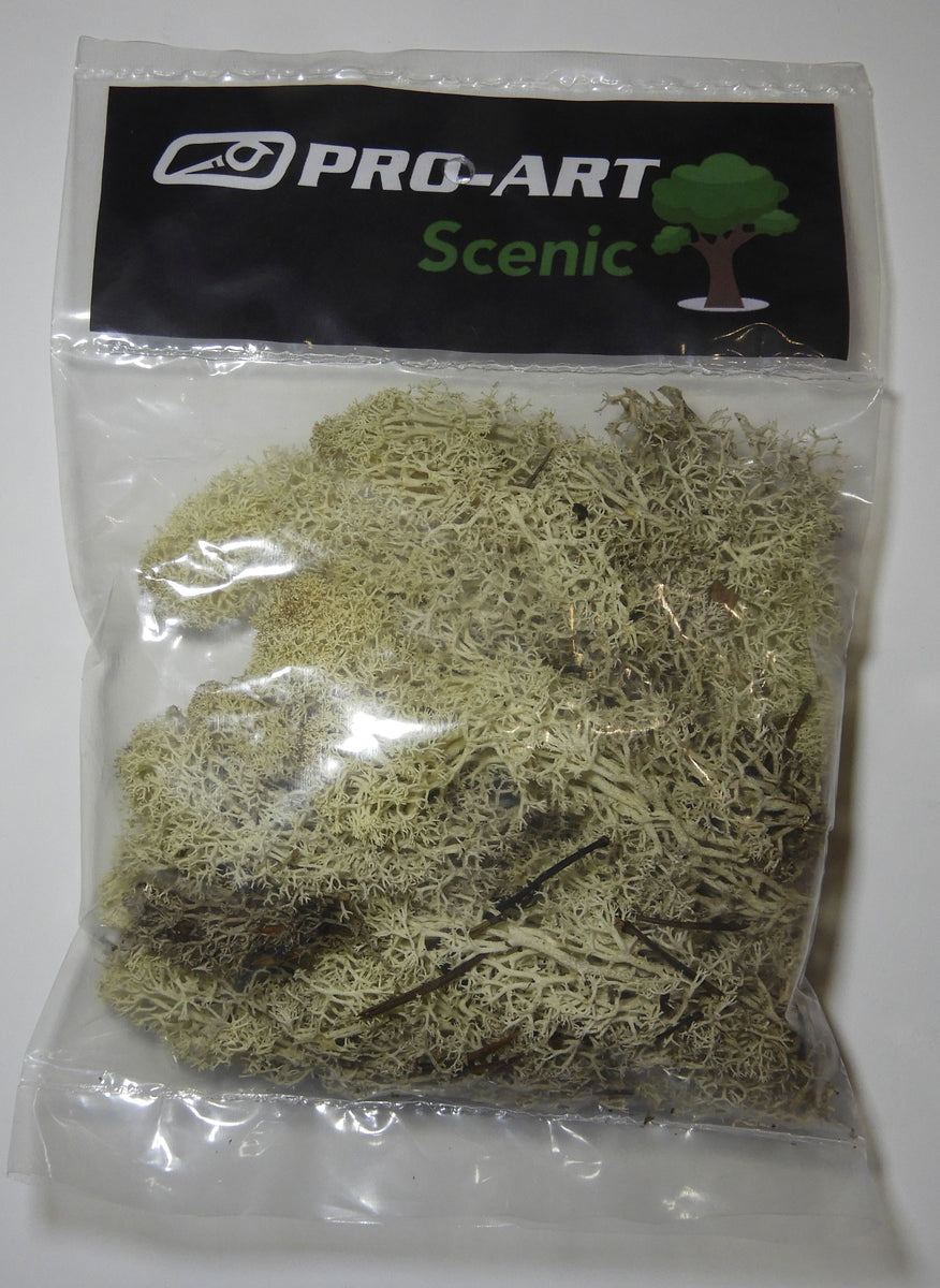 Pro-Art Lichen Natural – Batcave Comics n Games